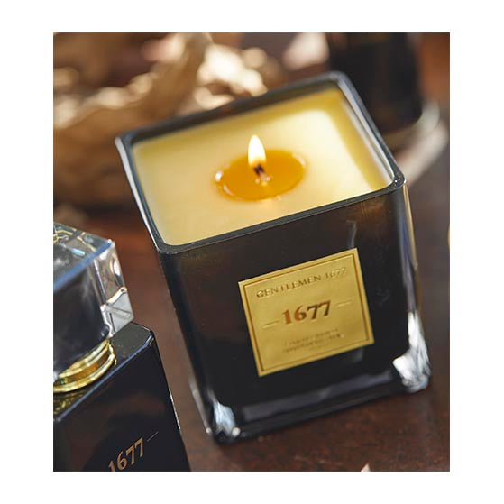 Gentlemen 1677 11 Ounce Candle | Men's Cologne Candle – Lady Primrose
