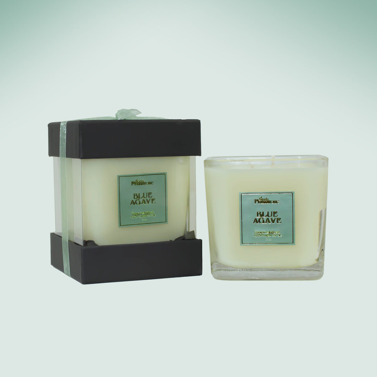 Blue Agave Candle – Lady Primrose